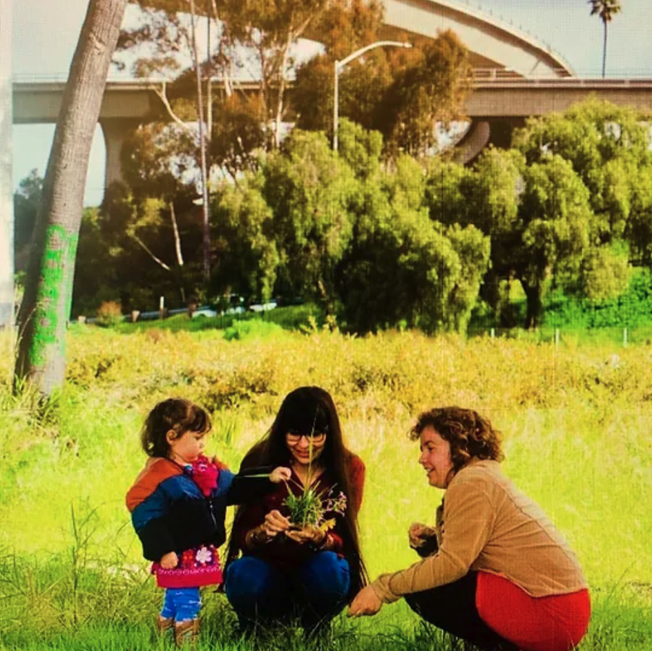 Rays of hope: National City & Southeast San Diego's Community ...